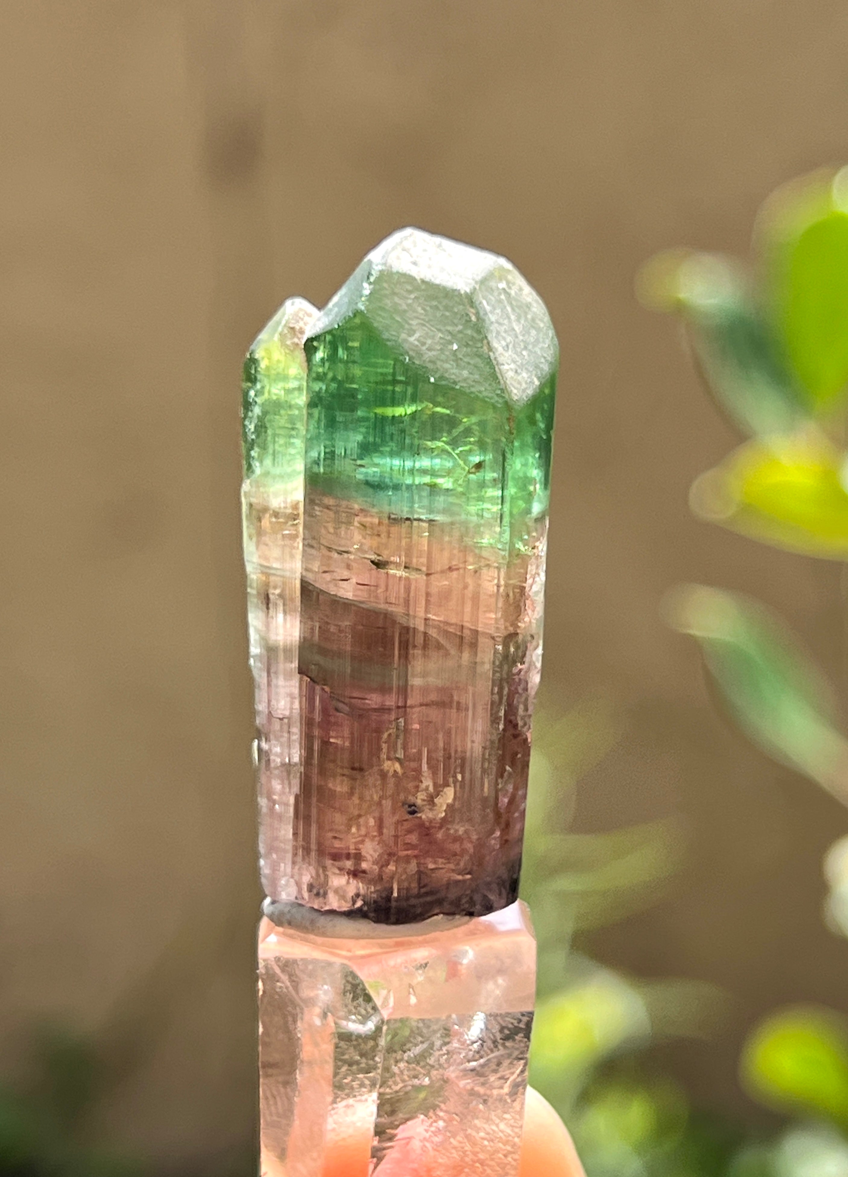 Juicy Brazilian Tourmaline Crystal – Rock A William Minerals